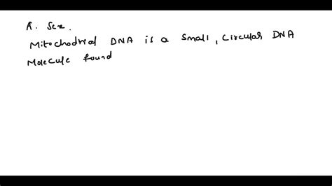 What Genes Are Encoded For In The Mitochondrial Dna Select One A Sex