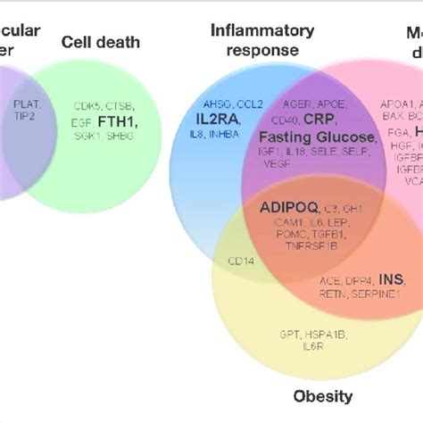 Fifty Eight Biomarkers Representing Multiple Biological Pathways Were