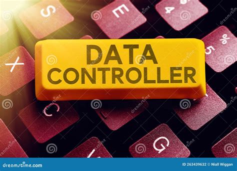 Text Showing Inspiration Data Controller Conceptual Photo Person Who