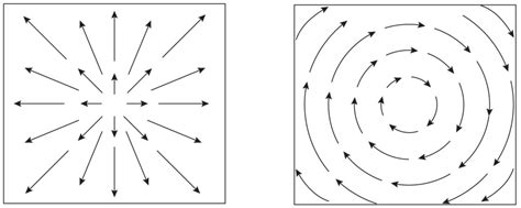 models of information processing in the visual cortex intechopen