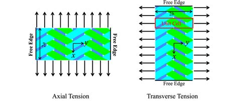 Meso Scale Finite Element Model Of Axial Tension And Transverse Tension