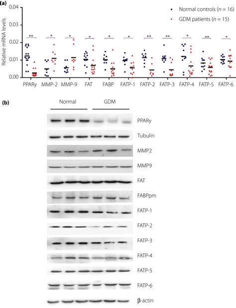 The Messenger Ribonucleic Acid Mrna And Protein Expression Of Human