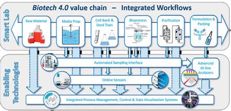 schematic representation of workflows systems and data interfaces in