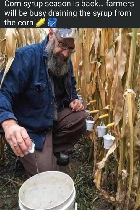 Corn Syrup Season Is Back Farmers Will Be Busy Draining The Syrup