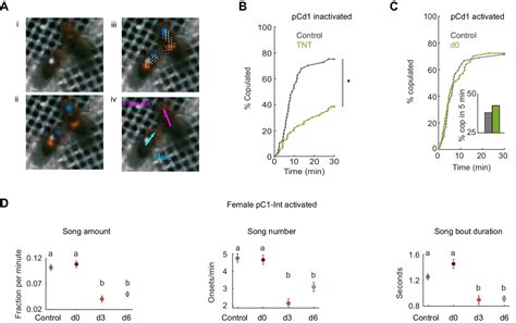 Figures And Data In The Neural Basis For A Persistent Internal State In Drosophila Females Elife