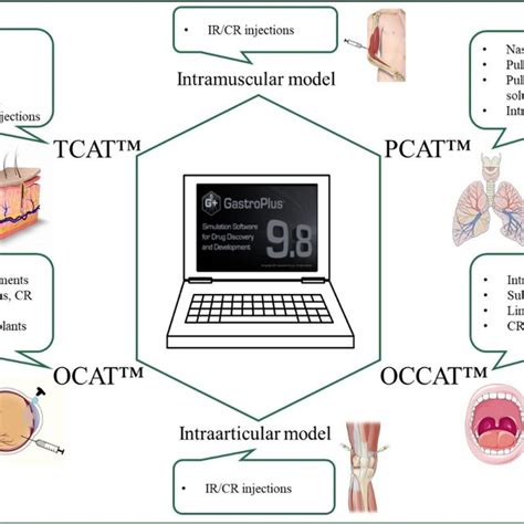 Schematic Representation Of The Models Incorporated In Gastroplus™ Download Scientific Diagram