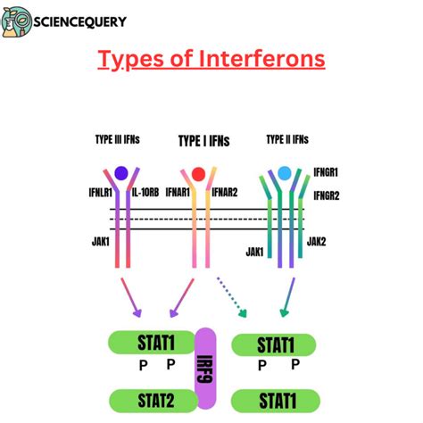 Science Query Know How World Works Around You