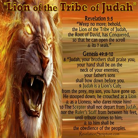 Gods Throne Revelation 4 And 5 Lamb Opens 7 Seals
