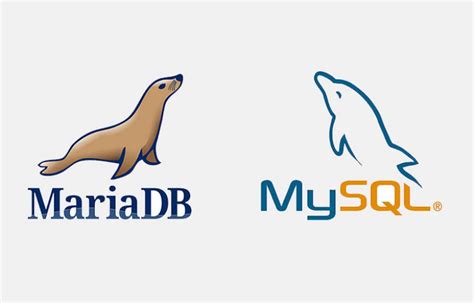 So Sánh Giữa Mariadb Và Mysql Hiểu Rõ Sự Khác Biệt Bkhost
