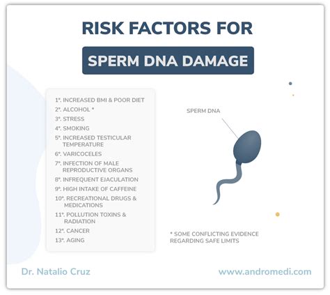 Dna Fragmentation Andromedi