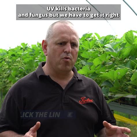 howard wu posted on linkedin