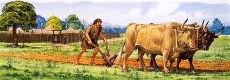 Neolithic Man Ploughing Stock Image Look And Learn