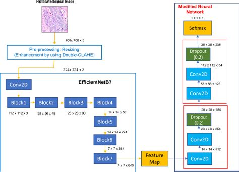 Figure 2 From An Enhancement Technique To Diagnose Colon And Lung