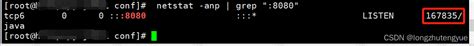 linux查看tomcat是否启动，查看tomcat监听端口 查看tomcat端口和状态 csdn博客