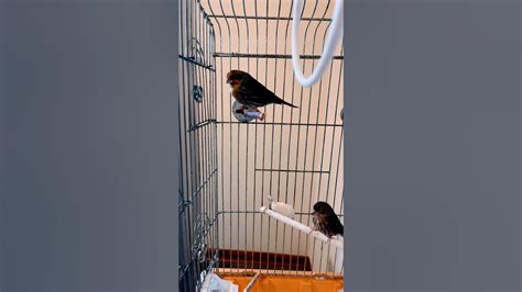 Cute Boon And Moon 🌕 Youtube