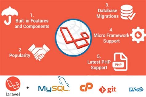 develop high quality responsive website using laravel react by raisul
