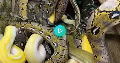 All My Post Older Than 6 Months Have Been Hidden  On Imgur