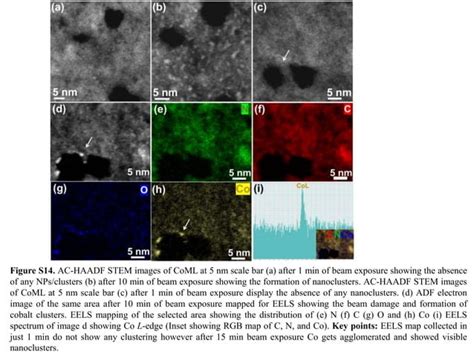 High Density Cobalt Single Atom Catalysts For Enhanced Oxygen Evolution