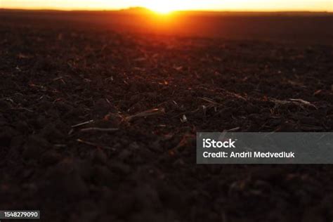 농업과 농업 관련 산업 개념 오렌지 석양에 검은 흙으로 된 큰 경작지의 아름다운 시골 풍경 농작물 파종 및 채소 재배를위한 농지 준비 가을에 대한 스톡 사진 및 기타 이미지