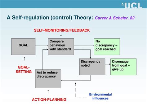 Self Regulation Model Explained At Eve Milson Blog