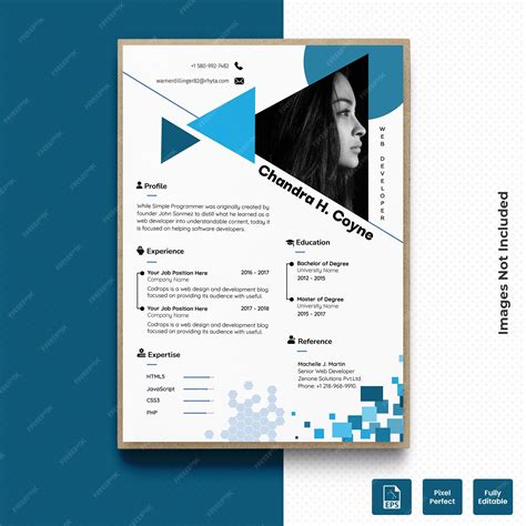 Cv De Desarrollador Web Vector Premium