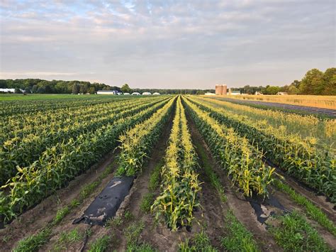 Tye Thompsons Fresh Tye Thompsons Fresh Produce