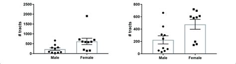Sex Differences In LHb Afferent Efferent Streamline Count Left The Download Scientific