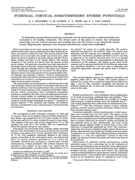 Pudendal Cortical Somatosensory Evoked Potentials Pdf Somatosensory System Cerebral Cortex