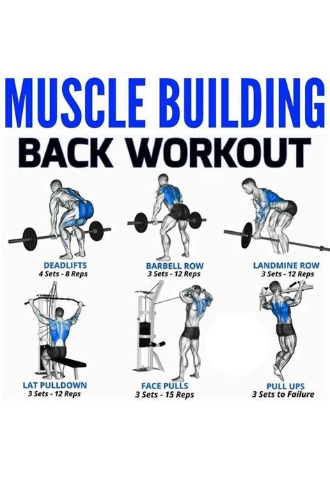Tone And Tighten The Top 10 Best Triceps Exercises For Sculpted Arms