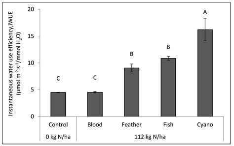 Organic Nitrogen Fertilizer Selection Influences Water Use Efficiency In Drip Irrigated Sweet Corn