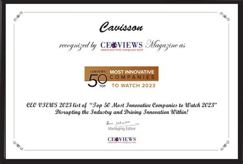 A Leading Airline Minimizes Revenue Pilferage With Cavisson Performance Monitoring Performance