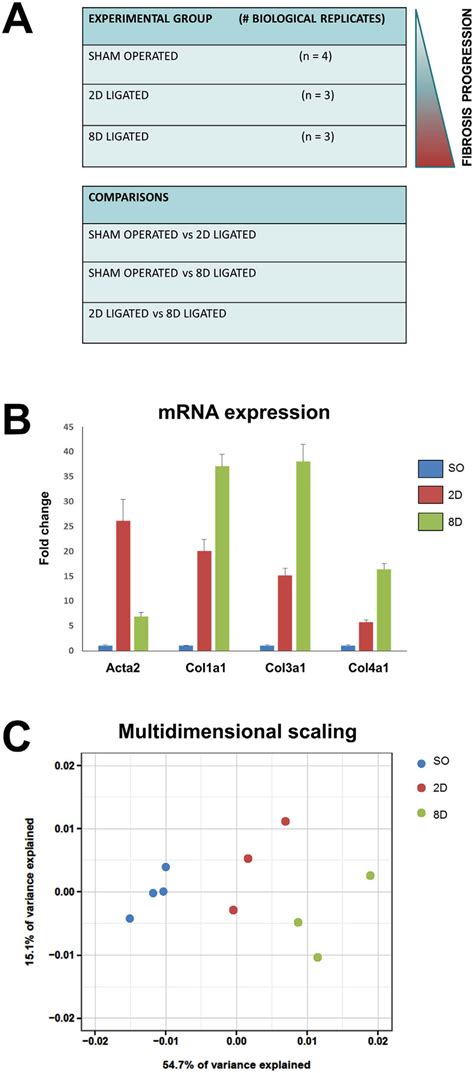 a experimental material and biological replicates used in the