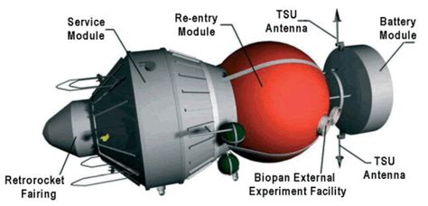 Scheme of Foton-M satellite Fig. 2 Scheme of Biopan module | Download ...