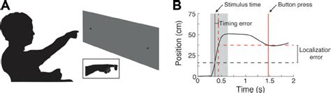 Tactile Localization Paradigm A Setup The Participant Moved The