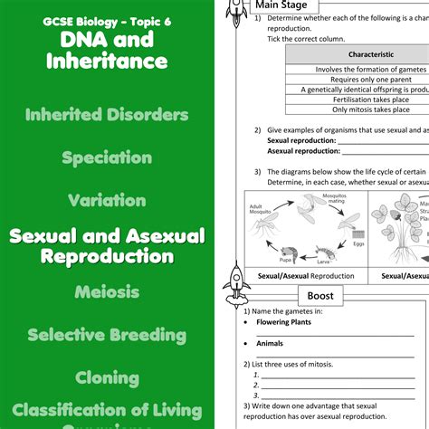 Asexual Reproduction Worksheet