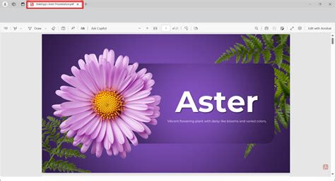 How To Export Your PowerPoint Presentation As A PDF File