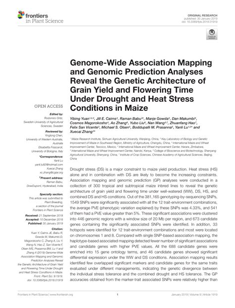 Pdf Genome Wide Association Mapping And Genomic Prediction Analyses Reveal The Genetic