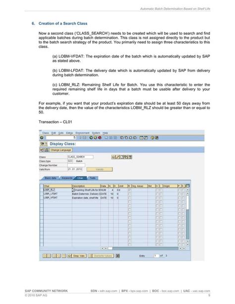 SAP Automatic Batch Determination PDF
