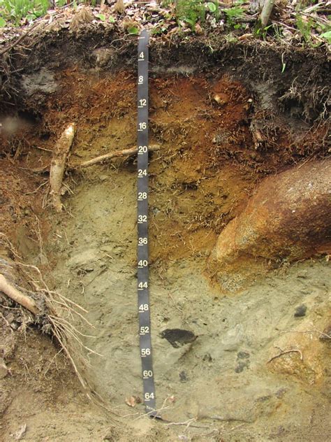 Using The Web Soil Survey For Your Needs Middlesex Conservation District