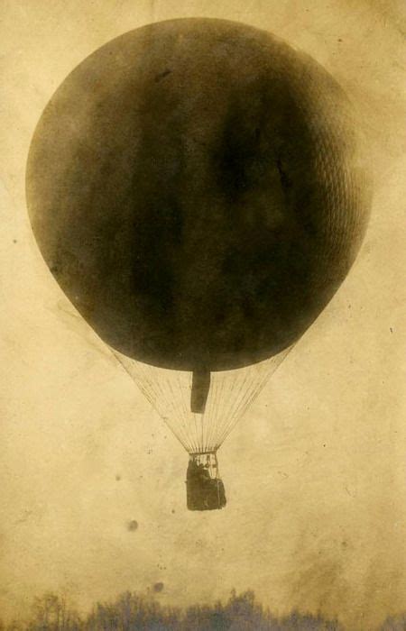 A Triassic Cuddle Set In Stone Prehistoric Wildlife Fossil Fossils