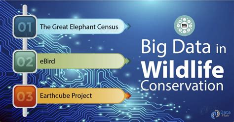 Big Data Is Helping In Wildlife Conservation Dataflair