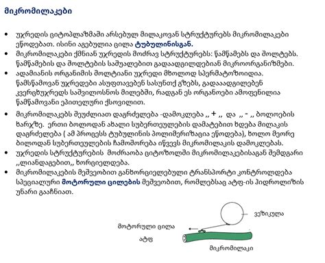 მე ვარ აბიტურიენტი