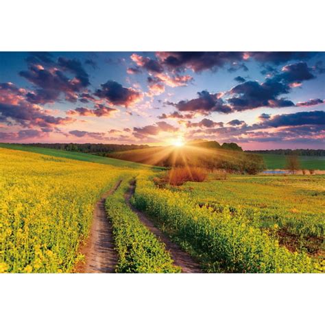 Spring Photo Backdrop Meadow Garden Grassland Park Flower Trees