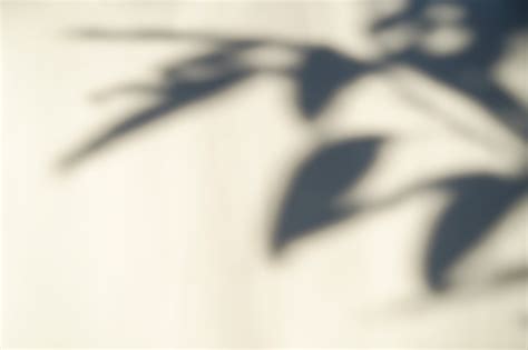 제품 프레젠테이션 배경 및 모형에 오버레이를 위한 복사 공간이 있는 흰색 텍스처 배경에 자연스러운 그림자 오버레이 0명에 대한 스톡 사진 및 기타 이미지 Istock