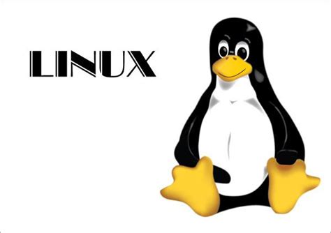 1996 Tux Linux Mascot Created By Larry Ewing Austin Texas Us Tux
