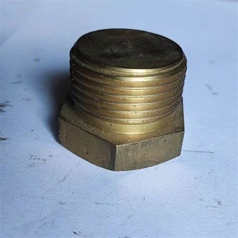 Polished Hexagonal 1inch Brass Plug For Hardware Fitting At Rs 300
