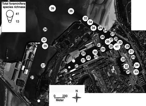 Total Species Richness Of Benthic Foraminifera Across The Sampling Area