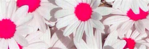 Janis Hunter Janisjean76 Twitter