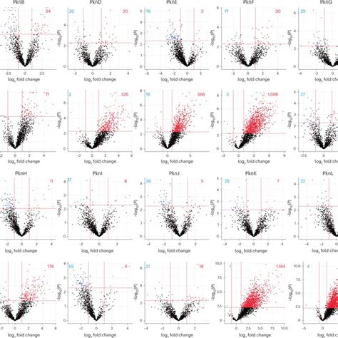 Stpk Perturbation Defines Kinasesubstrate Interactions Magnitude And