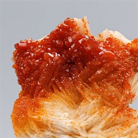 Neuheit Blutrote Vanadinit Stürme Auf Weißer Barit Kaufen Auf Ricardo